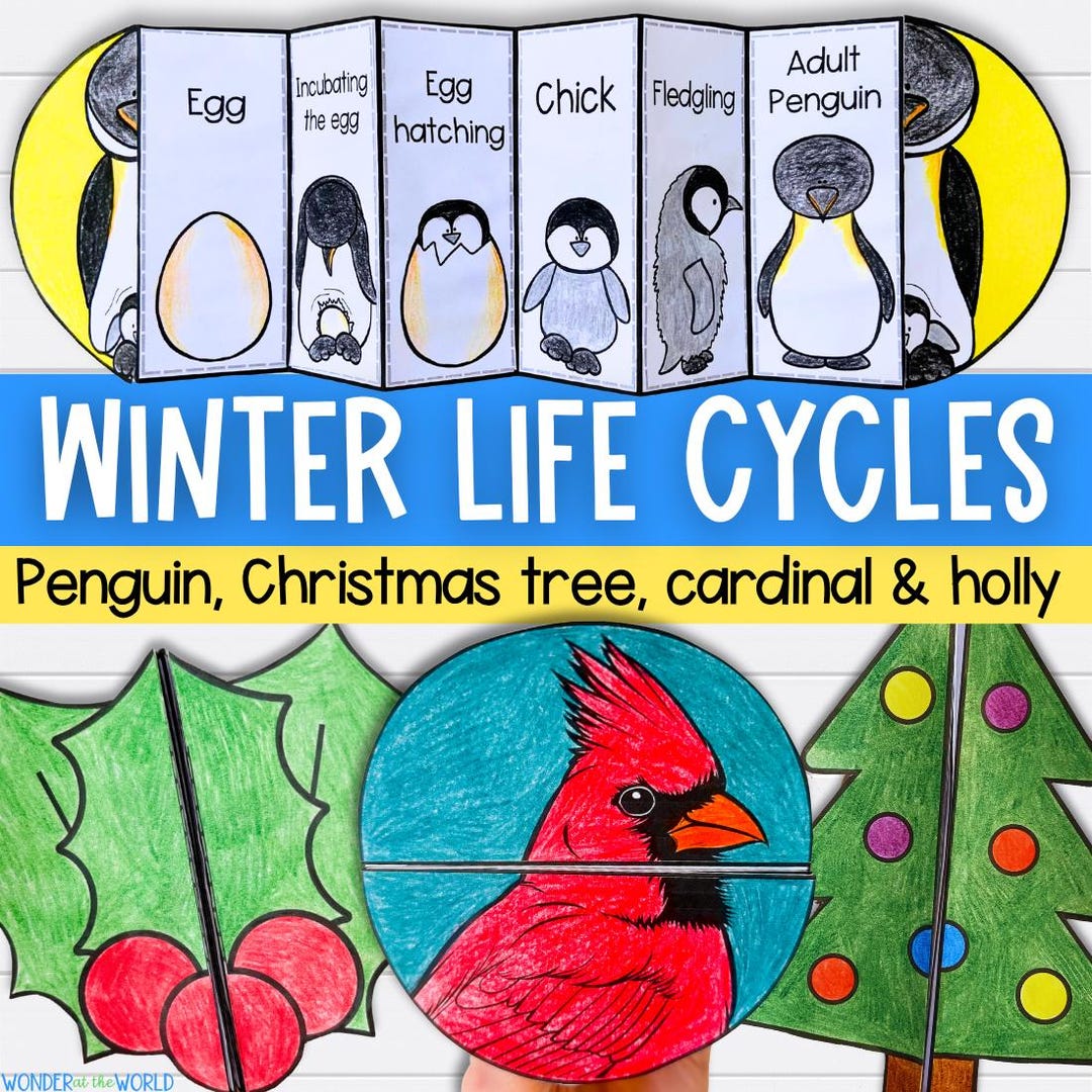 Winter Plant and Animal Life Cycles Cut and Paste Foldable Sequencing ...