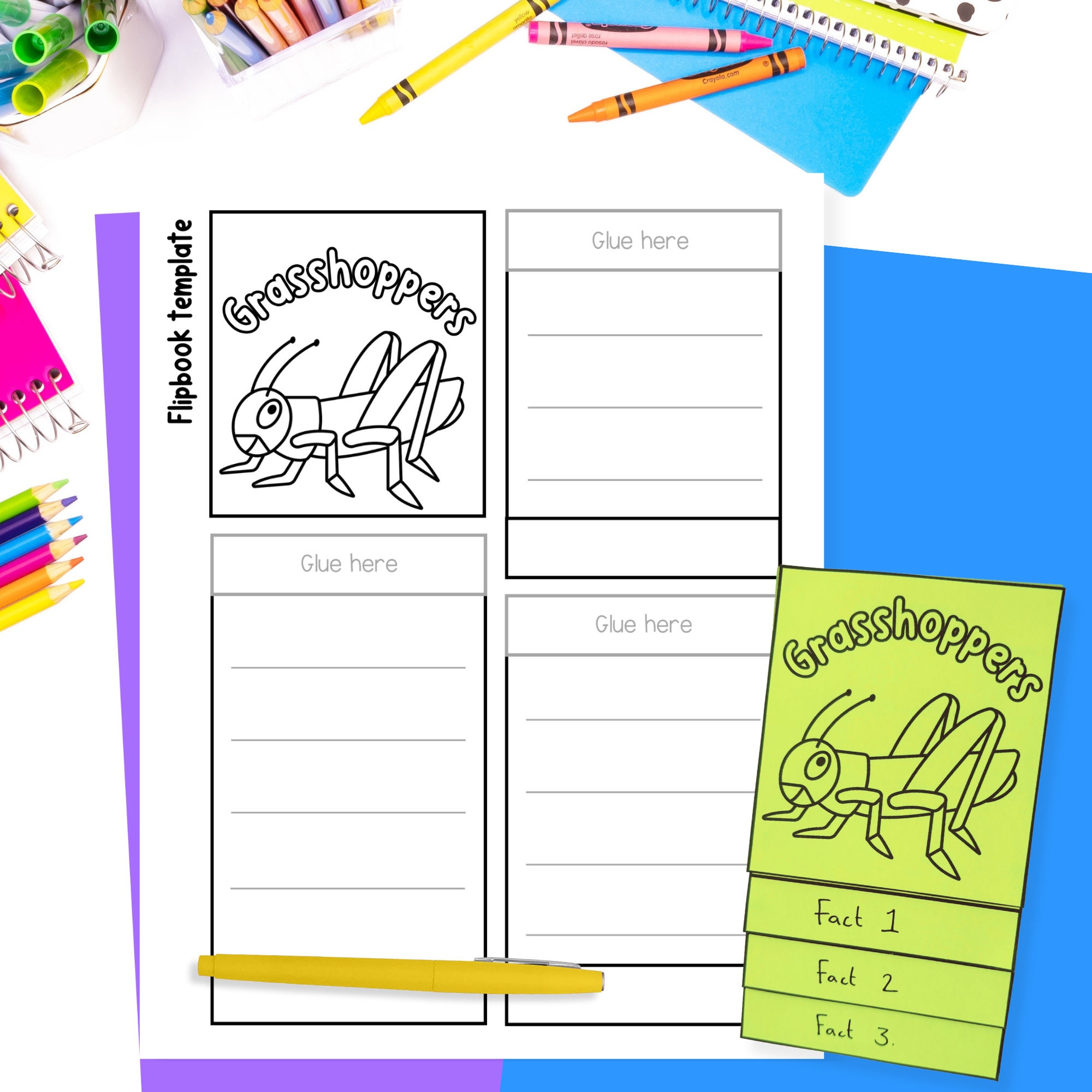 Life Cycle of a Grasshopper Insect Foldable Sequencing Activity Cut and ...