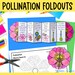 Stages of Insect Pollination Sequence and Fold Science Activity Cut ...