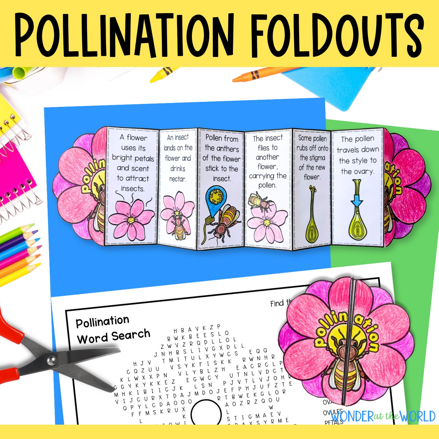 Stages of Insect Pollination Foldable Sequencing Science Activity Cut ...