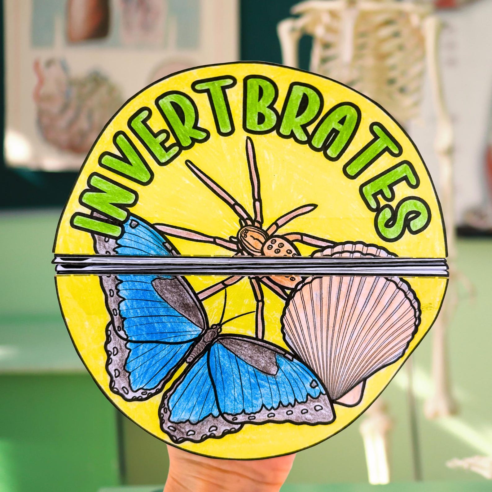 Invertebrates Classification Groups Cut and Paste Activities Match and ...