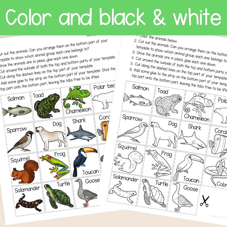 Animal Classification Sort Cut and Paste Lift the Flap Book Activity ...