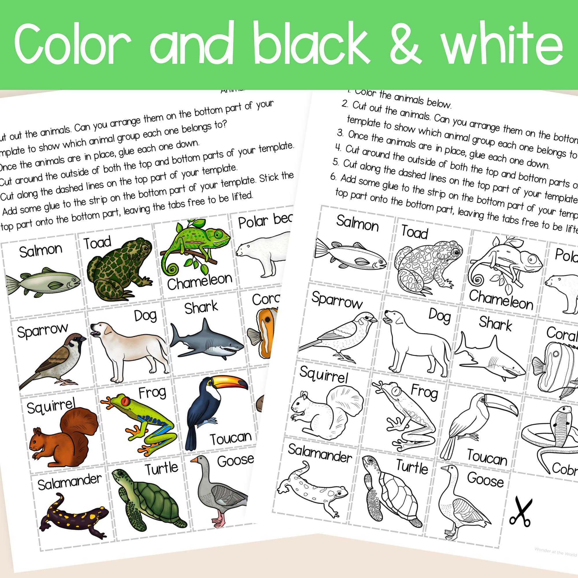 Animal Classification Sort Cut and Paste Lift the Flap Book Activity ...