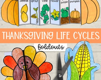 Life Cycle of A Pumpkin Worksheets & Teaching Resources. - Etsy