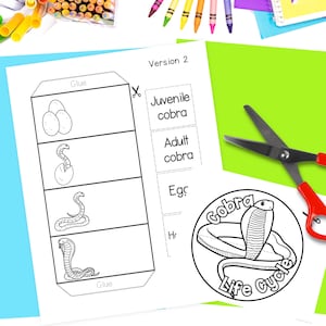 Life Cycle of a Cobra Snake Foldable Sequencing Activity PDF Digital ...