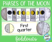 Life Cycle of a Bean Plant Foldable Kids' Craft Science Activity A4 and ...