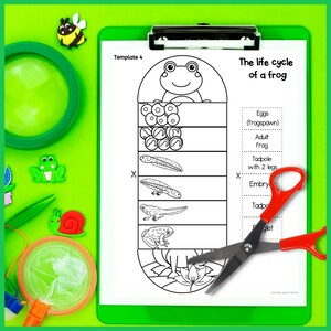 Life Cycles Foldable Science Cut and Paste Activities Butterfly Bean ...