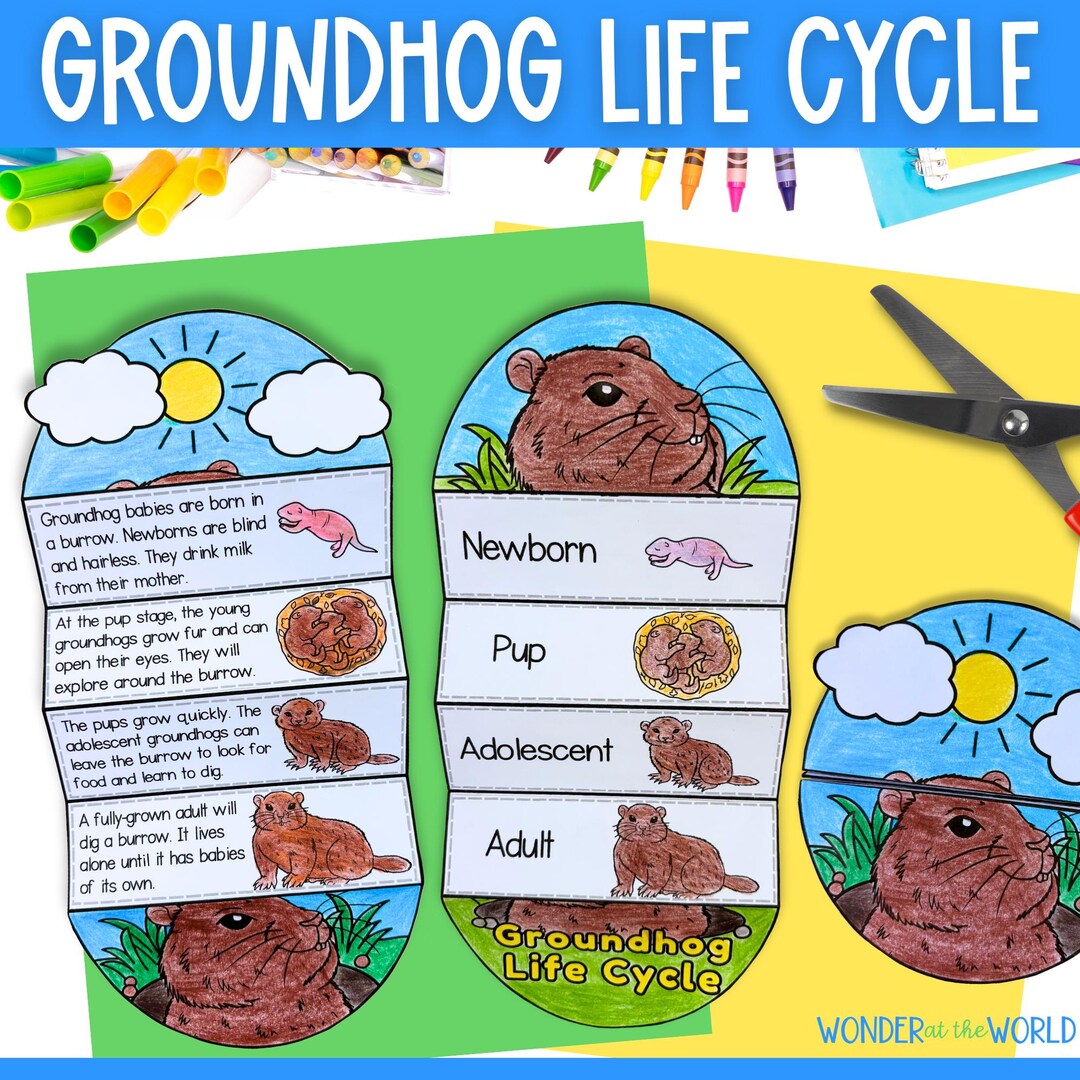 Groundhog Life Cycle Foldable Sequencing Activity Cut and Paste ...