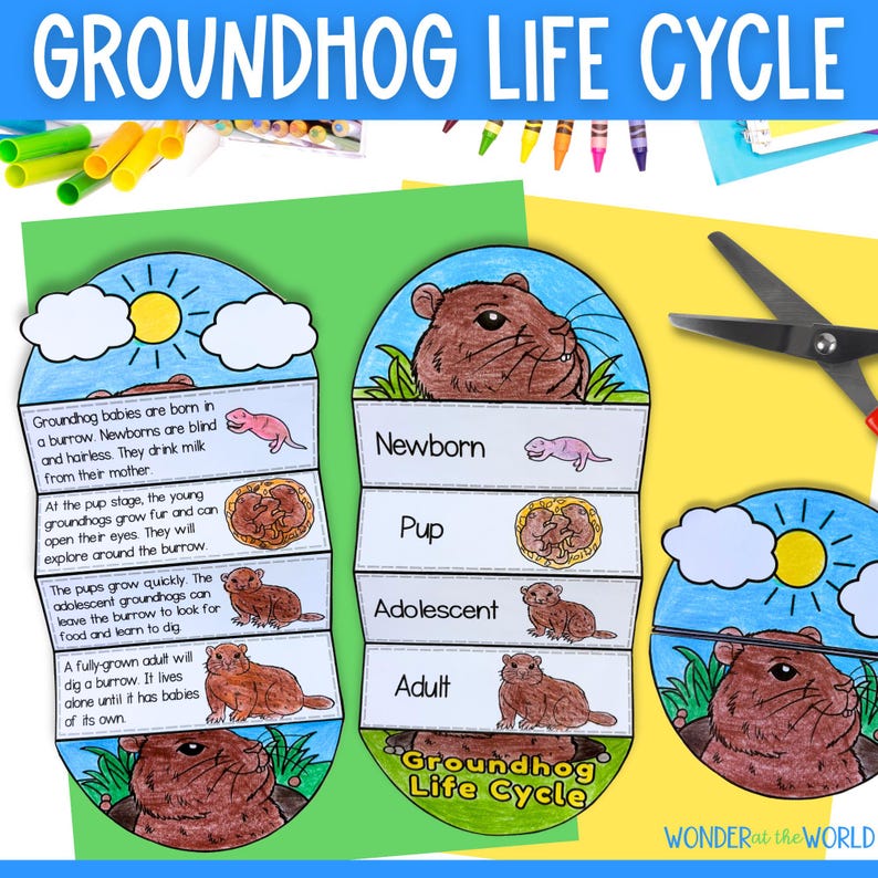 Groundhog Life Cycle Foldable Sequencing Activity Cut and Paste ...