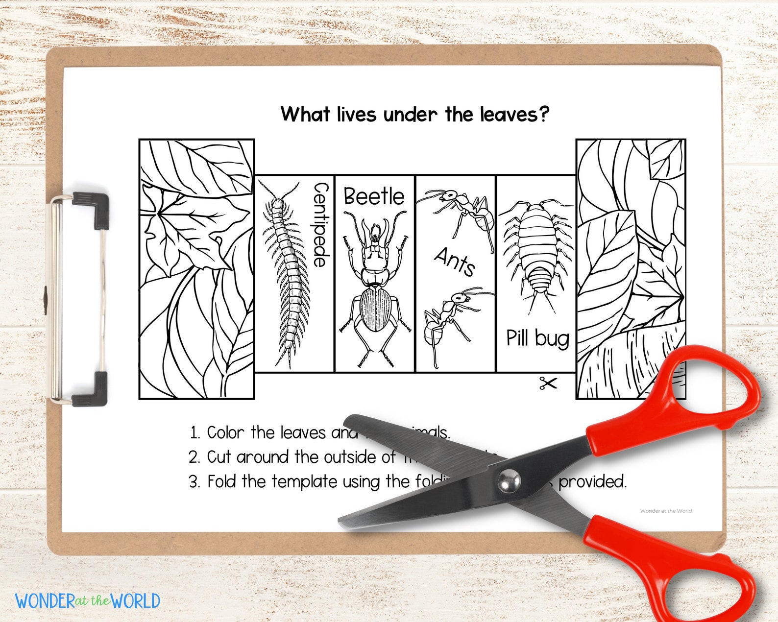 Microhabitats Foldable Kids' Activity A4 and 11x8.5 Inch Digital ...