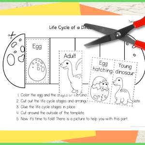 Life Cycle of a Dinosaur Foldable Activity for Kids | Dinosaur ...