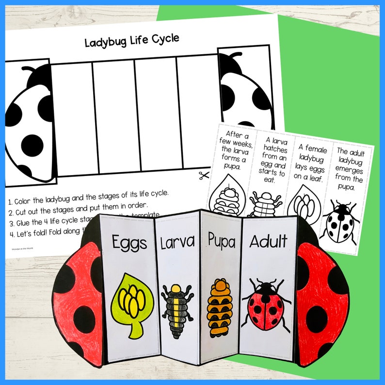 Insect Bugs Foldable Printable Lapbook Templates | Digital Download ...