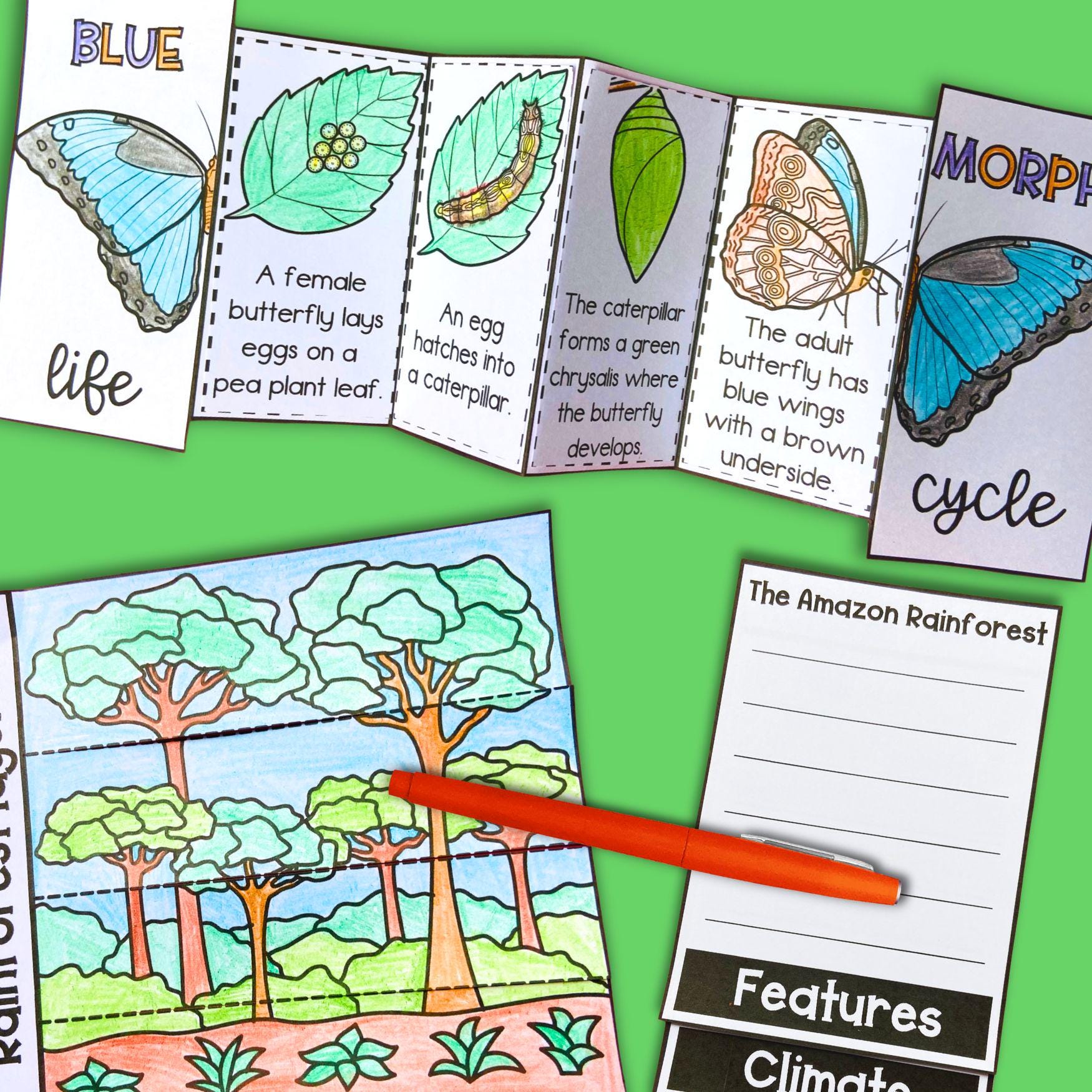 Amazon Lapbook Foldable Printable Templates | Digital Download | Kids ...