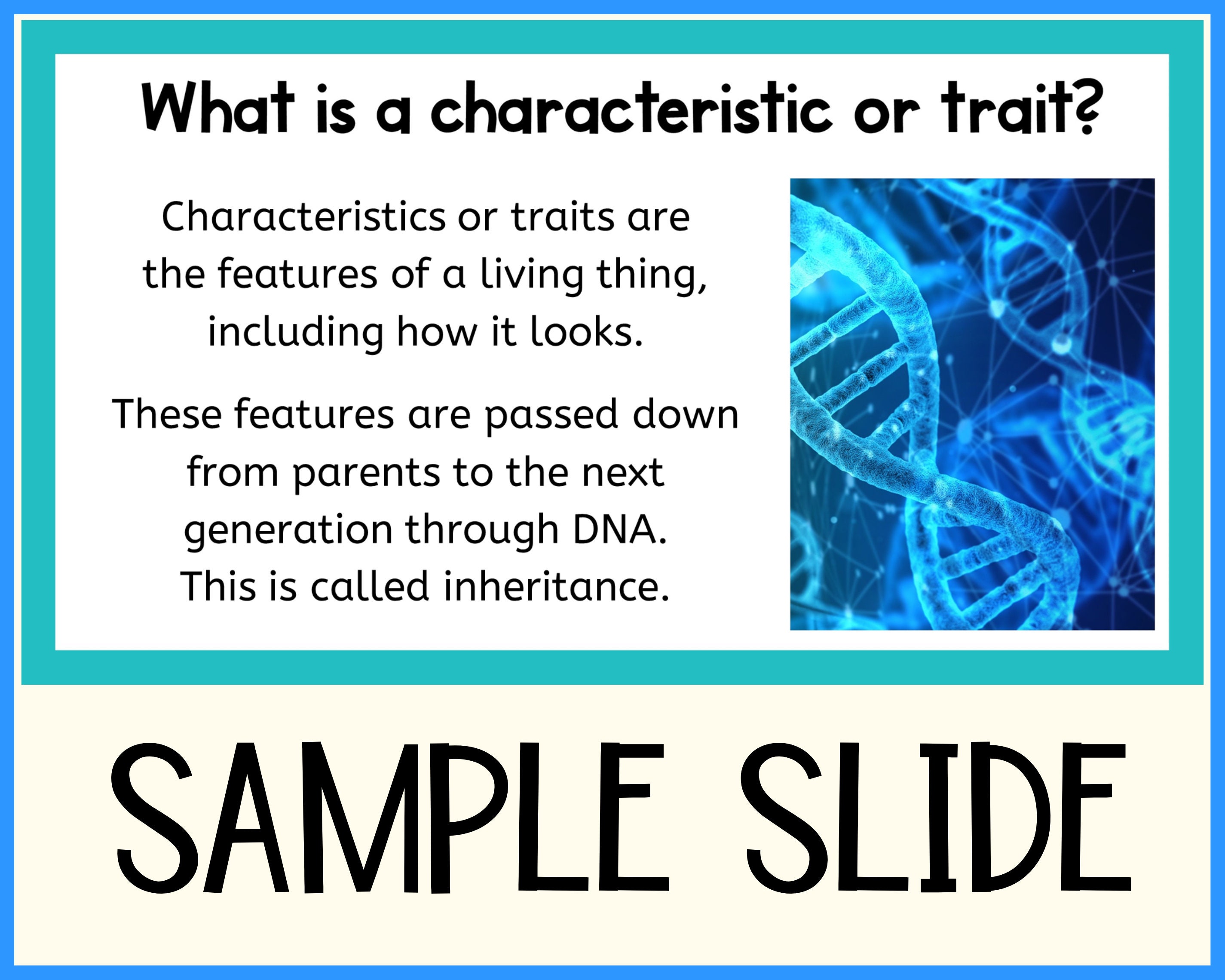 Inherited Traits Characteristics Presentation and Activity Elementary ...