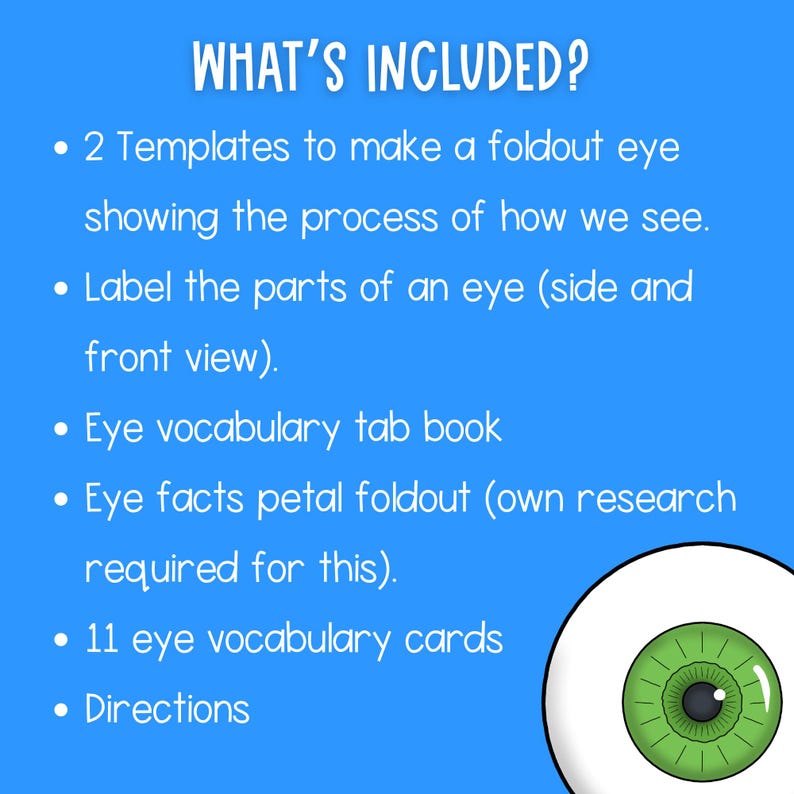 The Parts of the Human Eye and How We See Foldable Activities for ...