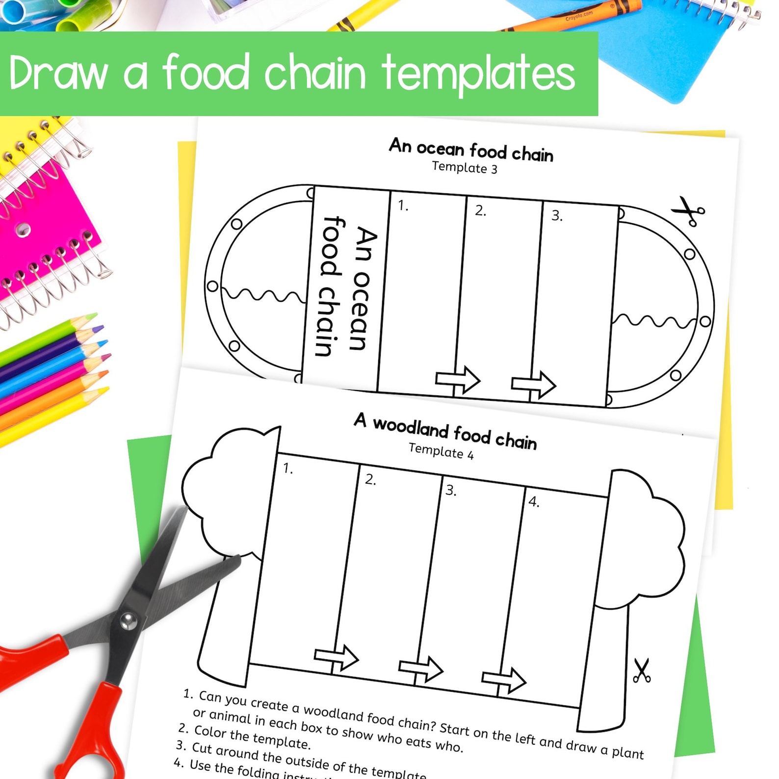 Food Chains Foldable Activity for Kids | A4 and 11x8.5 Inch | Digital ...