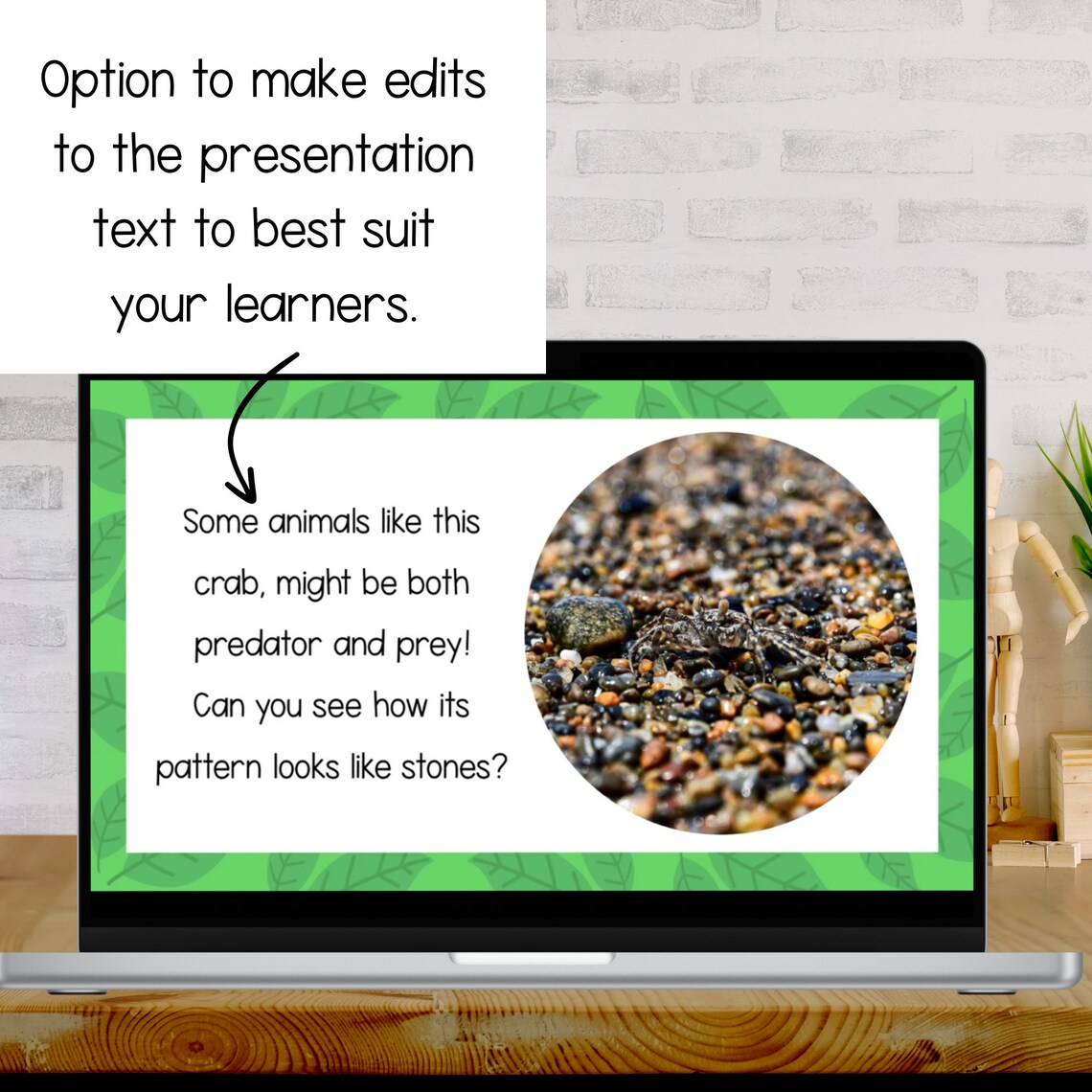 Animal Camouflage Lesson Activities Powerpoint Google Slides ...