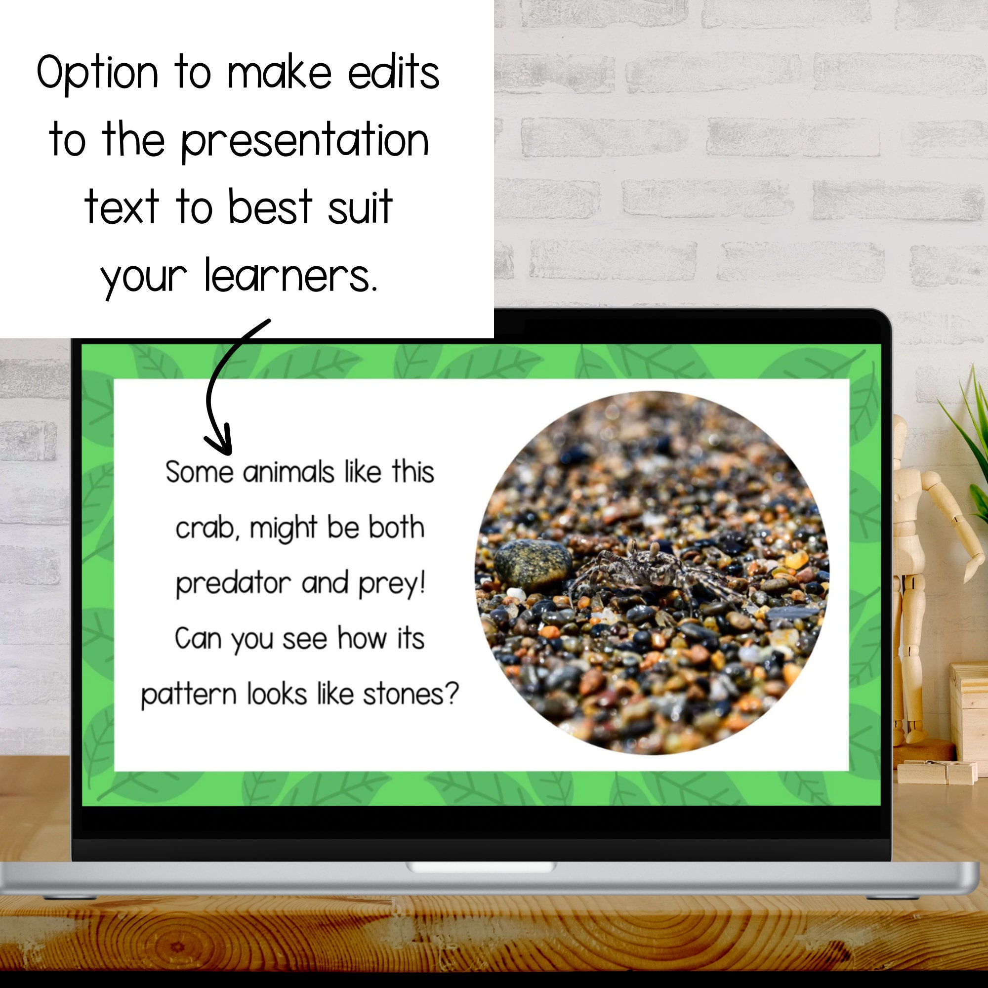 Animal Camouflage Science Lesson Powerpoint Google Slides Presentation ...