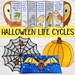 Fall Autumn Plant Life Cycles Foldable Science Activities - Etsy UK