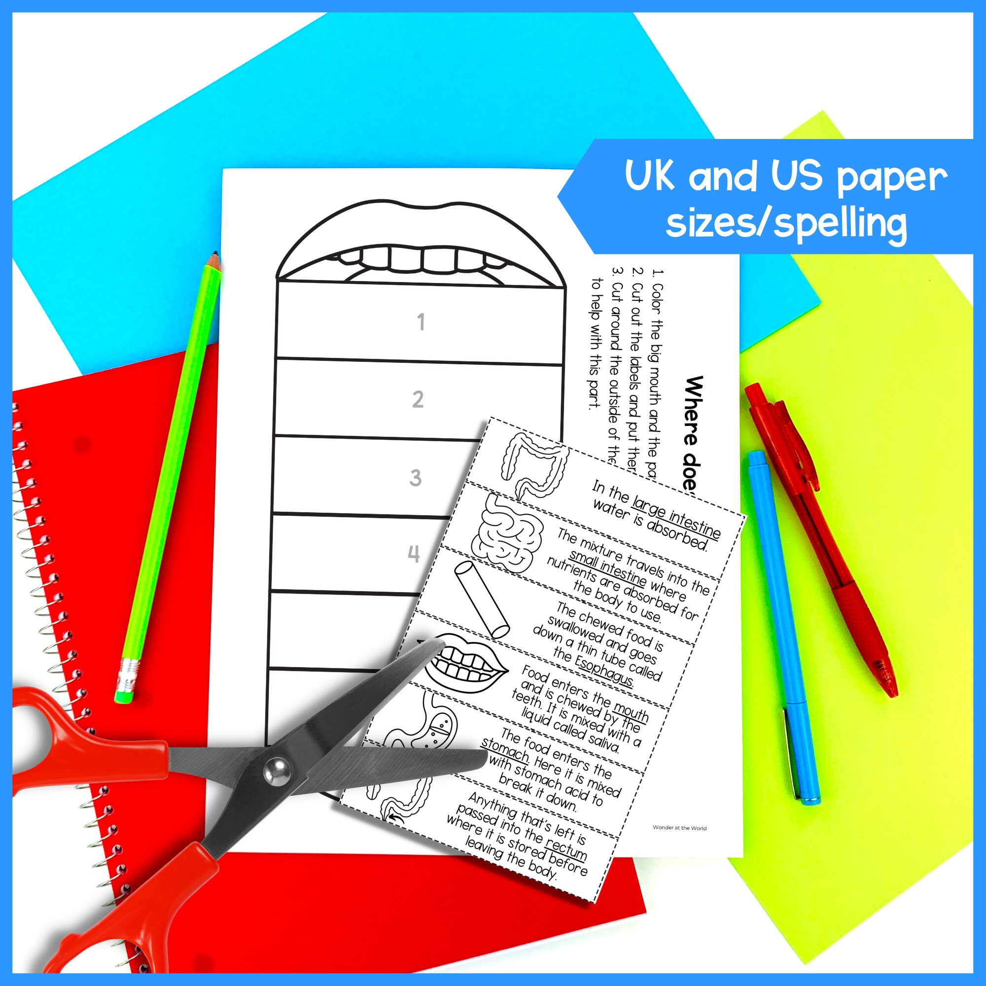 Human Body Digestive System Foldable Sequencing Activities for Kids ...