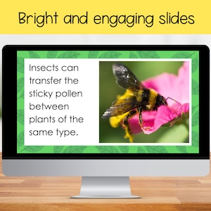 Life Cycle of a Flowering Plant Google Slides Presentation for Teachers ...