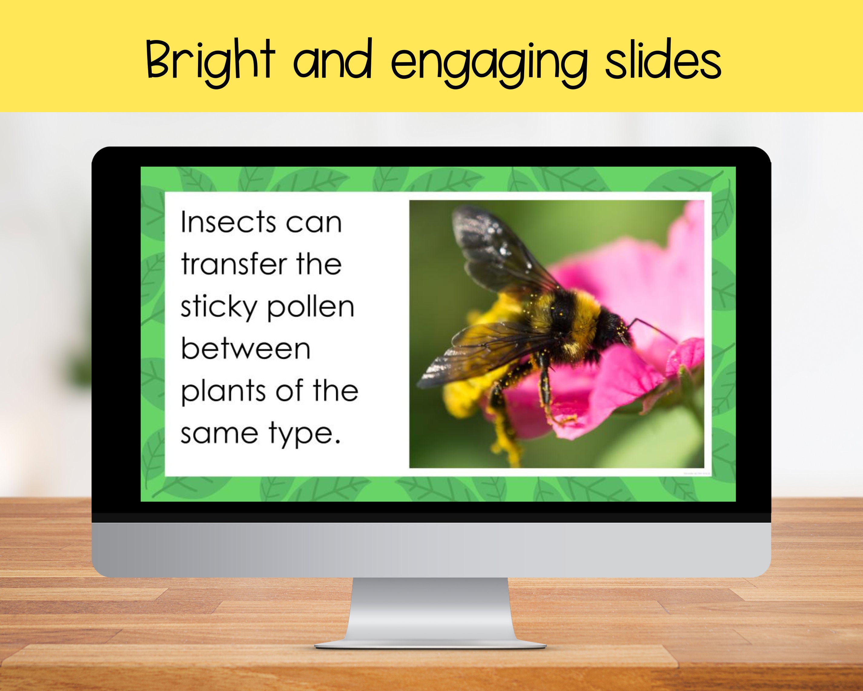 Life Cycle of a Flowering Plant Google Slides Presentation for Teachers ...