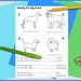 Dichotomous Keys Activities Worksheets for Elementary or Primary ...