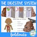 The Digestive System Foldable Kids' Activity A4 and 11x8.5 Inch Digital ...