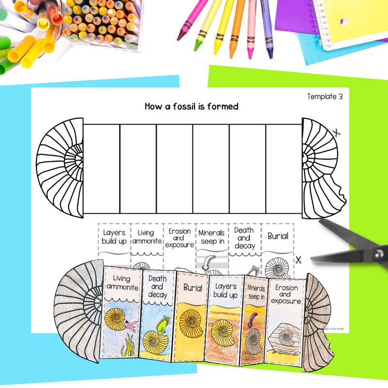 How a Fossil is Formed Foldable Sequencing Activity PDF for Dinosaur ...