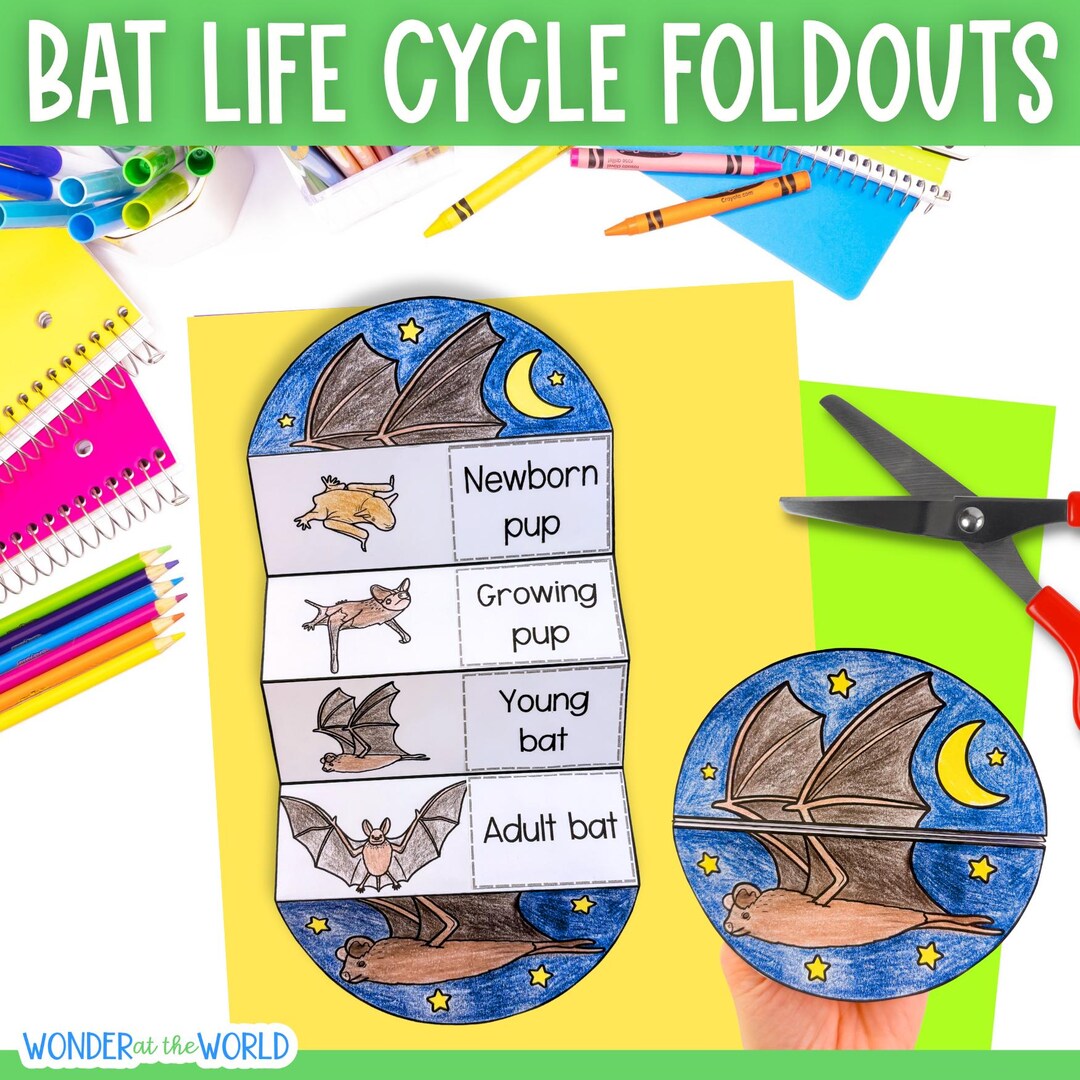 Life Cycle of a Bat Mammal Sequence and Fold Science Activity for Kids ...