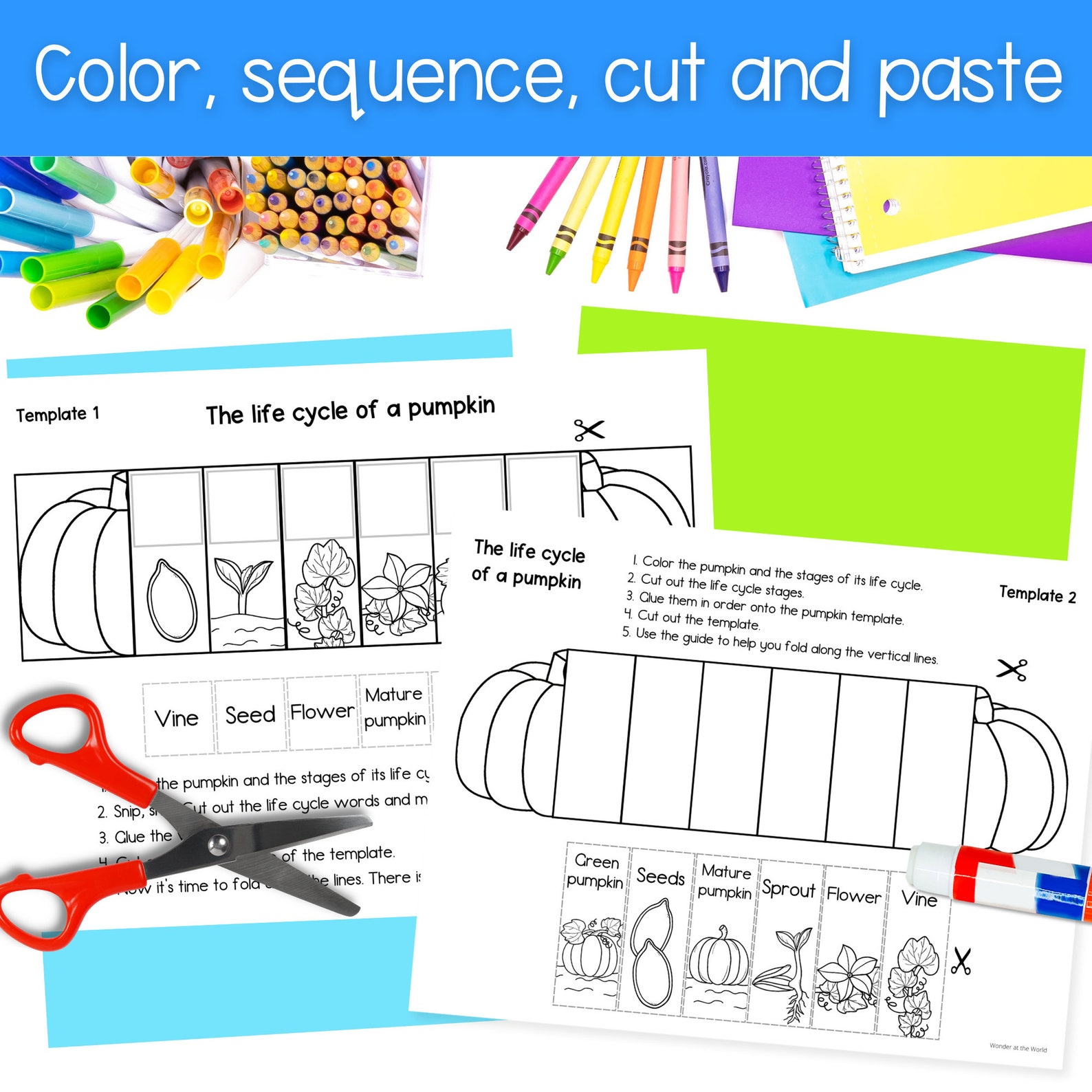 Life Cycle of a Pumpkin Foldable Activity for Kids | A4 and 11x8.5 Inch ...