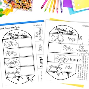 Life Cycle and Parts of a Stick Insect Cut and Paste Science Activities ...
