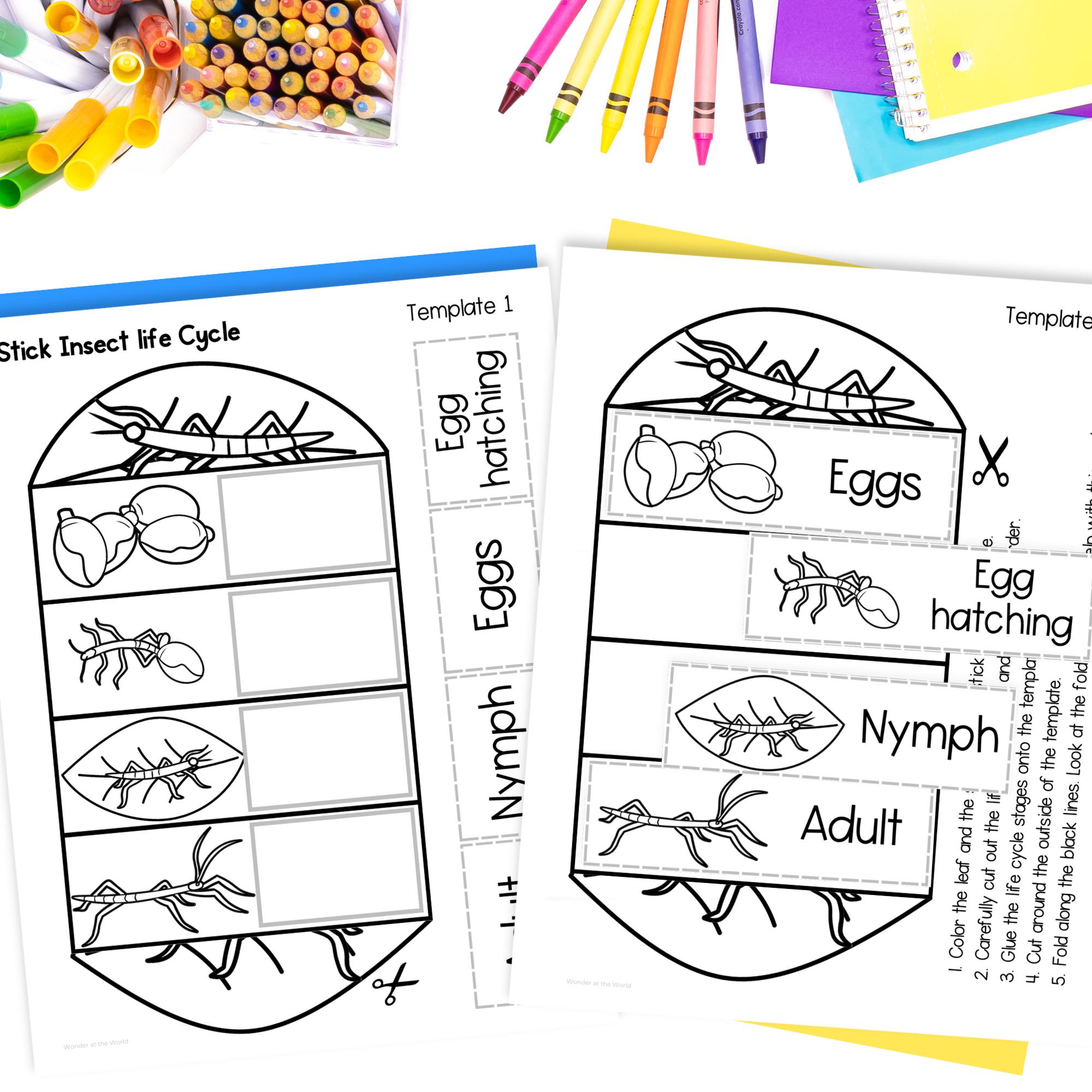Life Cycle and Parts of a Stick Insect Cut and Paste Science Activities ...