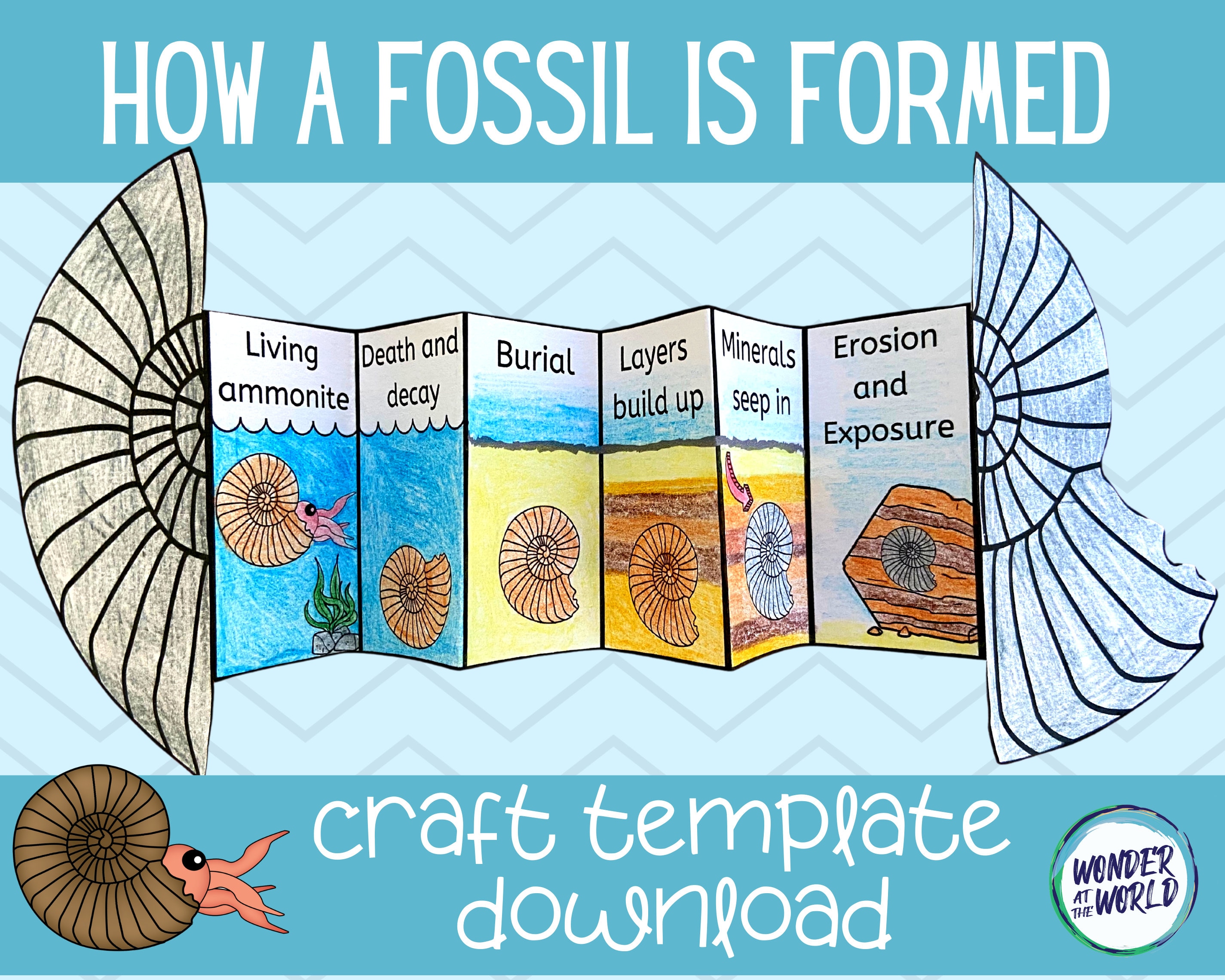 How a fossil is formed foldable kids' craft A4 and | Etsy
