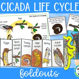 Life Cycle of a Cicada Foldable Sequencing Science Activity for Kids ...