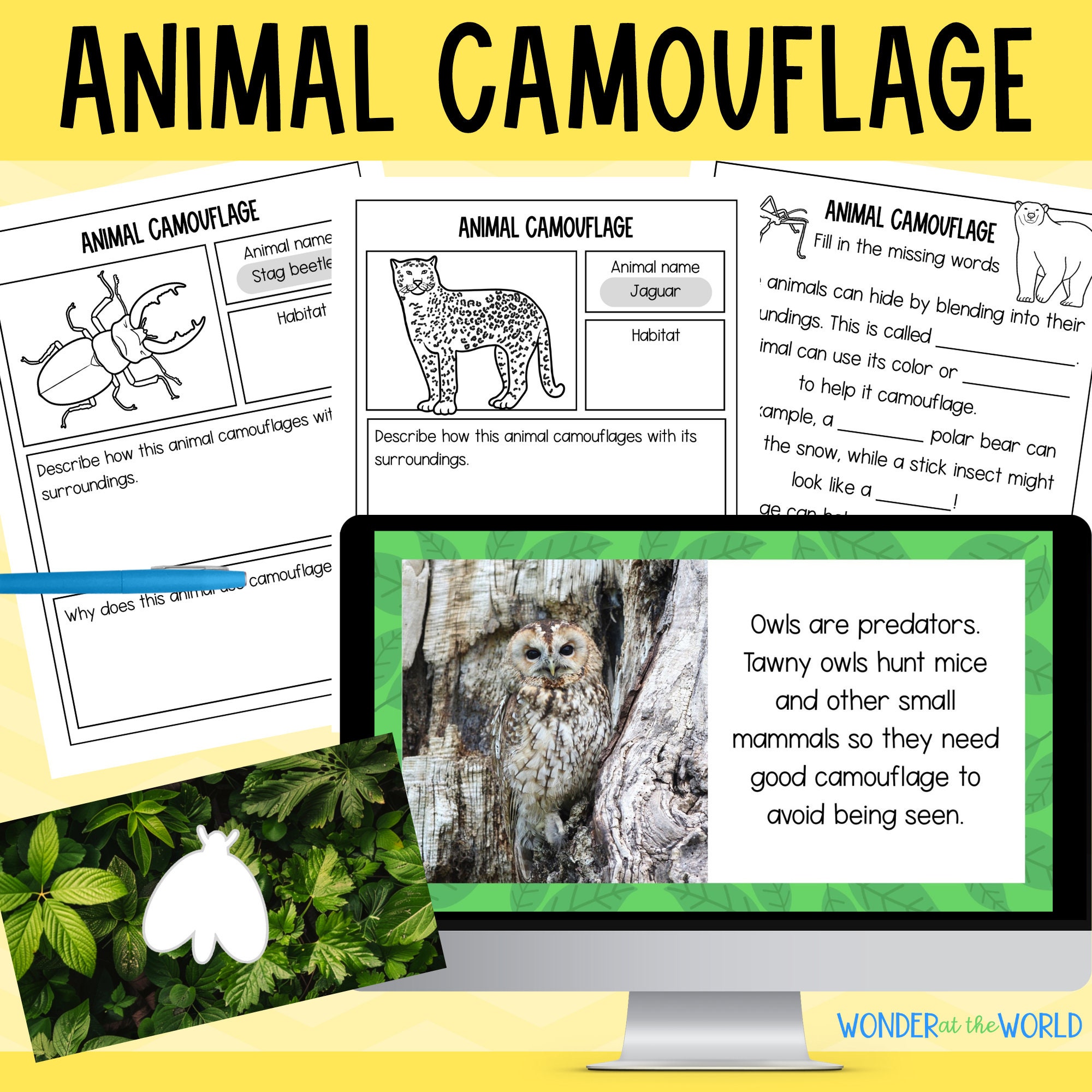 Animal Camouflage Lesson Activities Powerpoint Google Slides ...