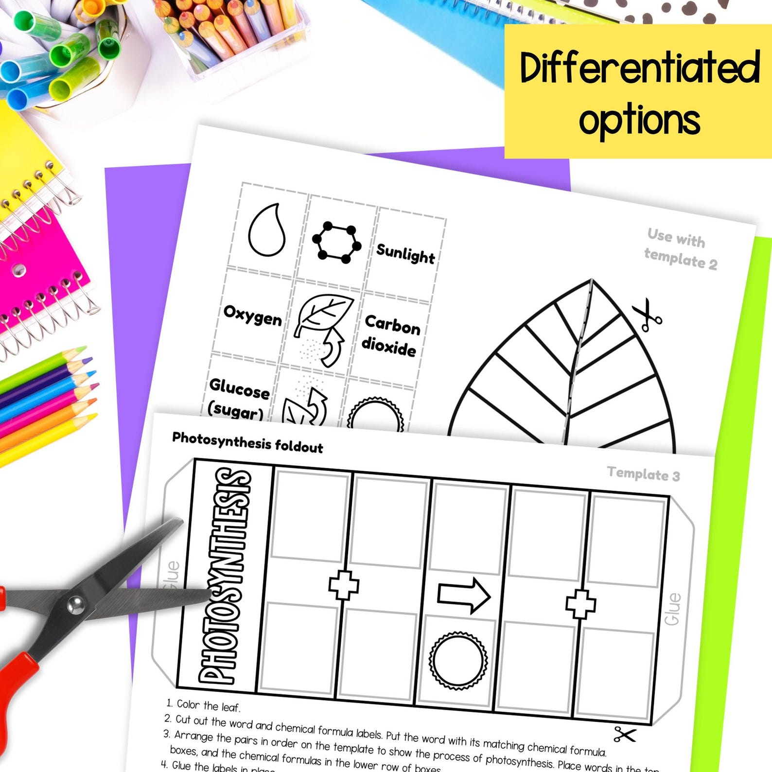 Photosynthesis Foldable Activities Cut and Paste for Interactive ...