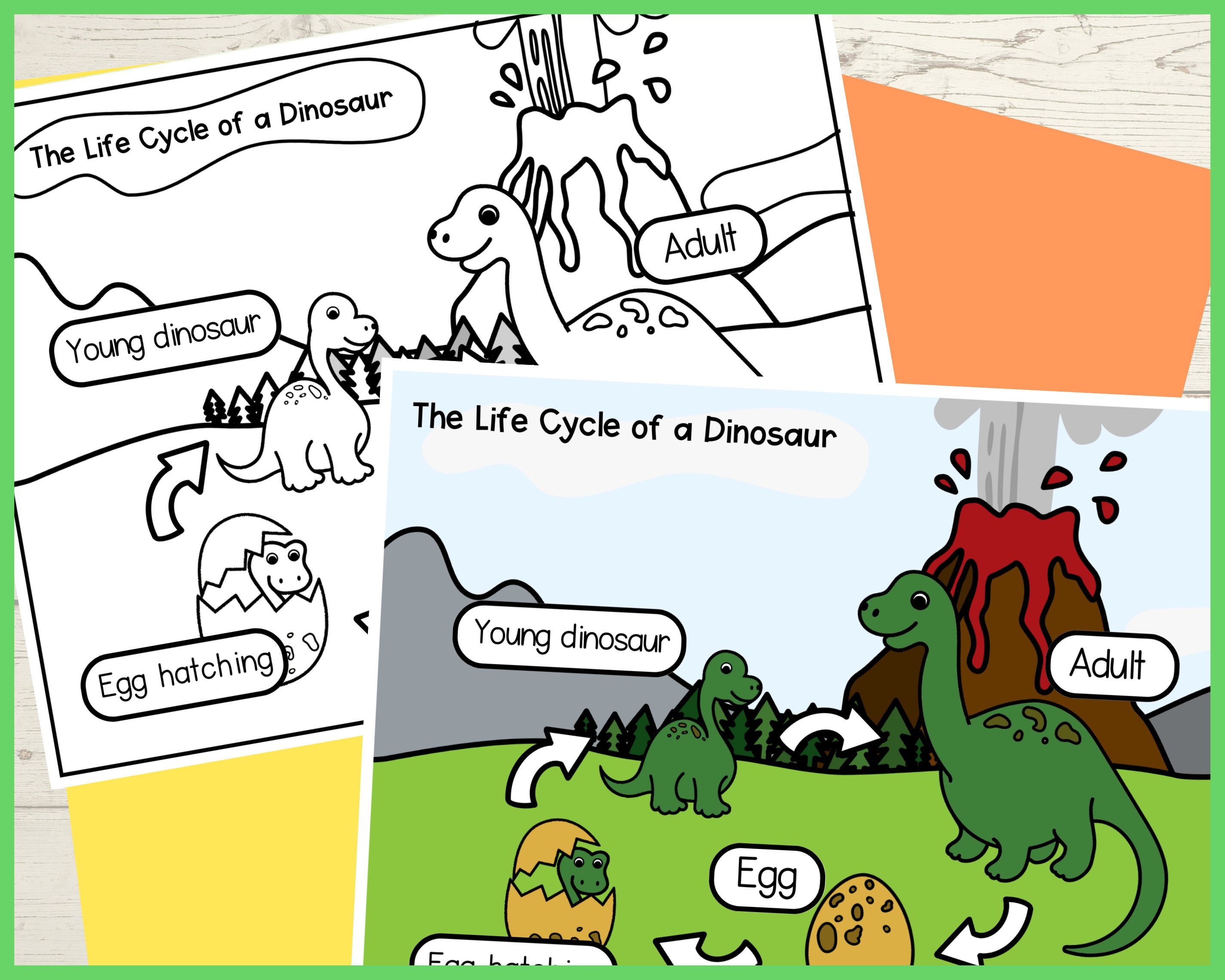 Life Cycle of a Dinosaur Foldable Activity for Kids Dinosaur Printable ...