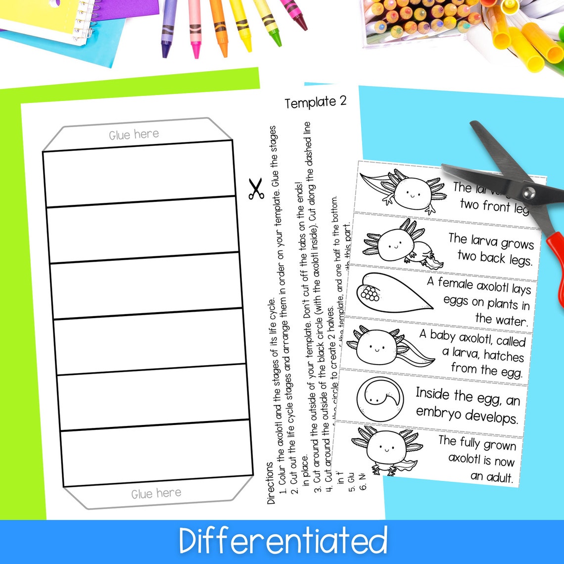 Life Cycle of an Axolotl Cut and Paste Foldout Science Activity and ...