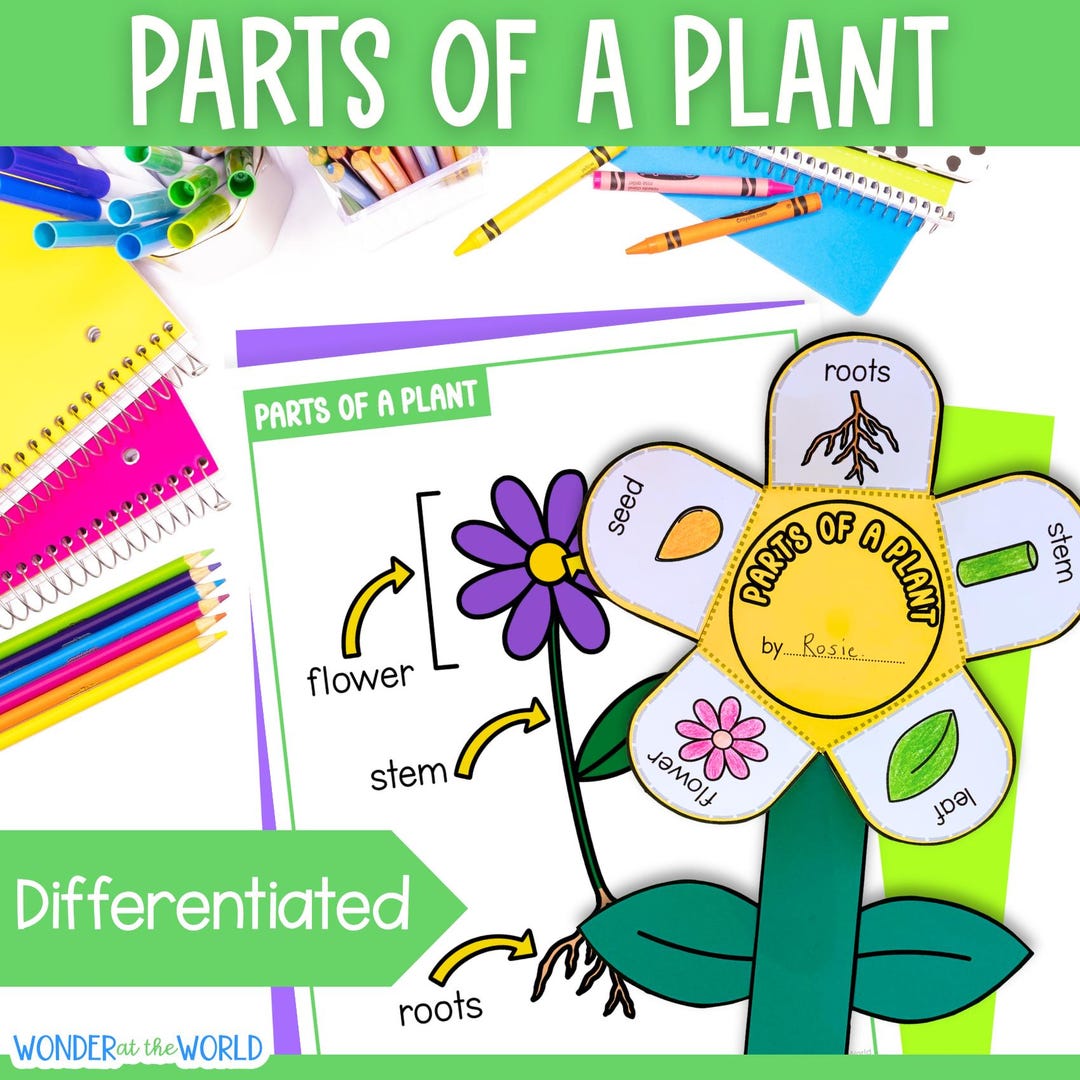 Parts of a Plant Science Craft Activity and Worksheet for Kindergarten ...