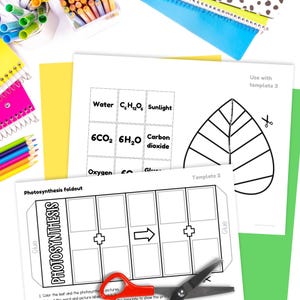 Photosynthesis Foldable Activities Cut and Paste for Interactive ...
