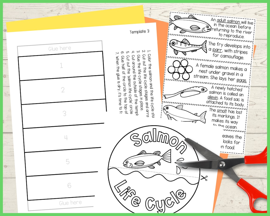 Life Cycle of a Salmon Fish Foldable Science Activity and Vocabulary ...
