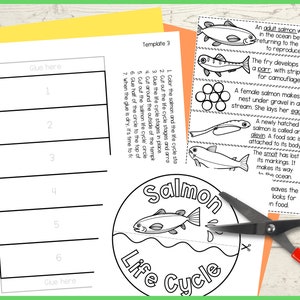Life Cycle of a Salmon Fish Sequence and Fold Science Activity ...