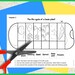 Life Cycle of a Bean Plant Foldable Kids' Craft Science Activity | A4 ...