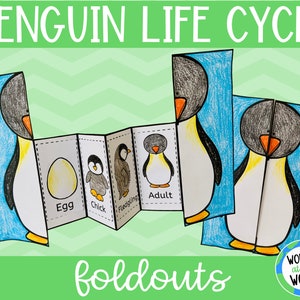 Life Cycle of a Penguin Foldable Kids' Craft A4 and - Etsy
