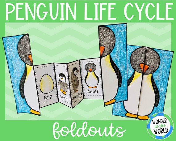 Life Cycle of a Penguin Foldable Kids' Craft A4 and | Etsy Australia