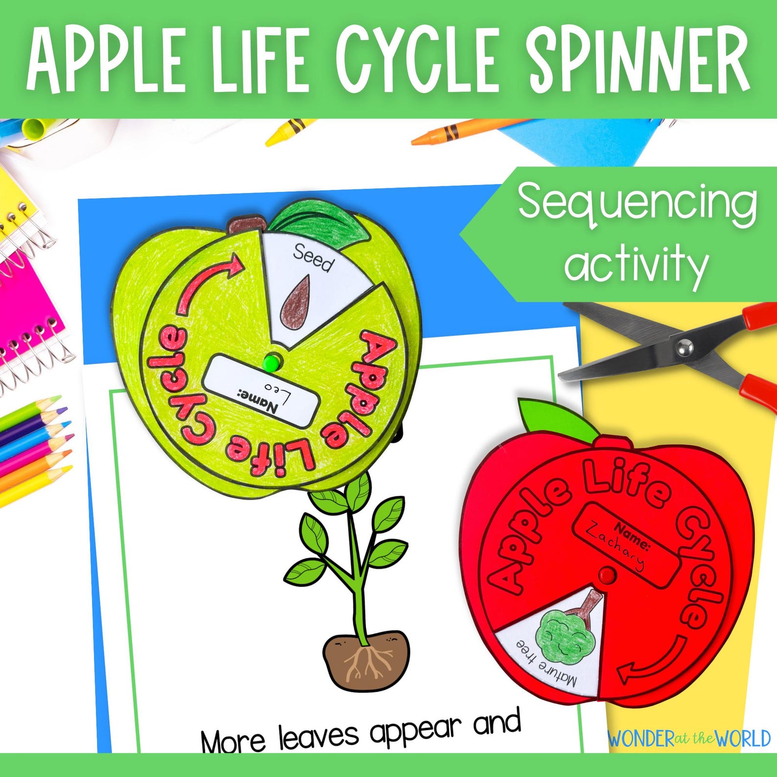 Life Cycle of an Apple Tree Spinner Wheel Sequencing Activity Fall ...