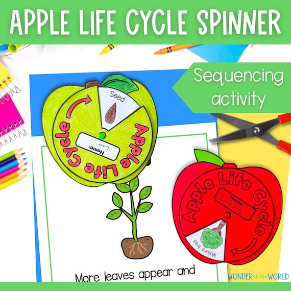 Sequencing The Life Cycle Of An Apple Tree 🍎 FREE Apple Life Cycle