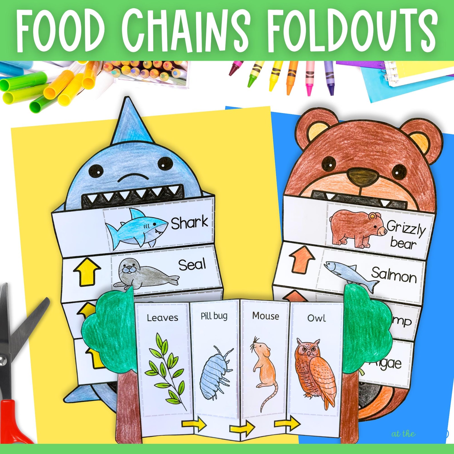 Make a Food Chain Foldable Activities PDF | A4 and 8.5x11 Inch ...