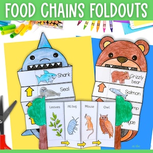 Make a Food Chain Foldable Activities PDF | A4 and 8.5x11 Inch ...